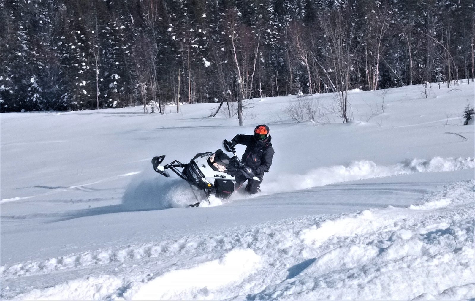 509 Allied isolated - SledMagazine.com