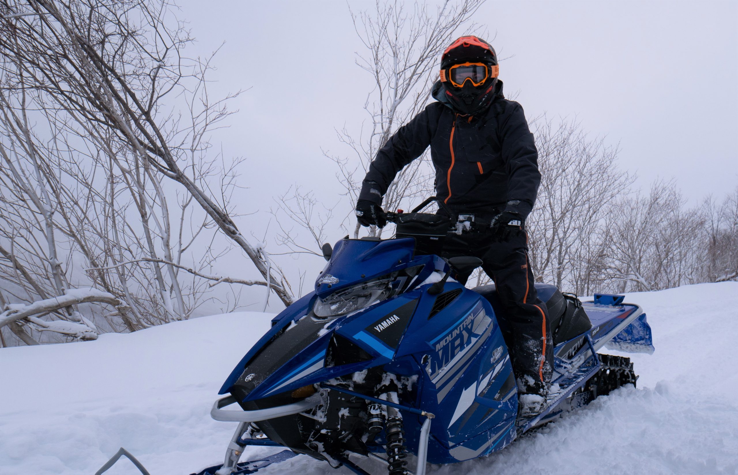 509 Allied isolated - SledMagazine.com