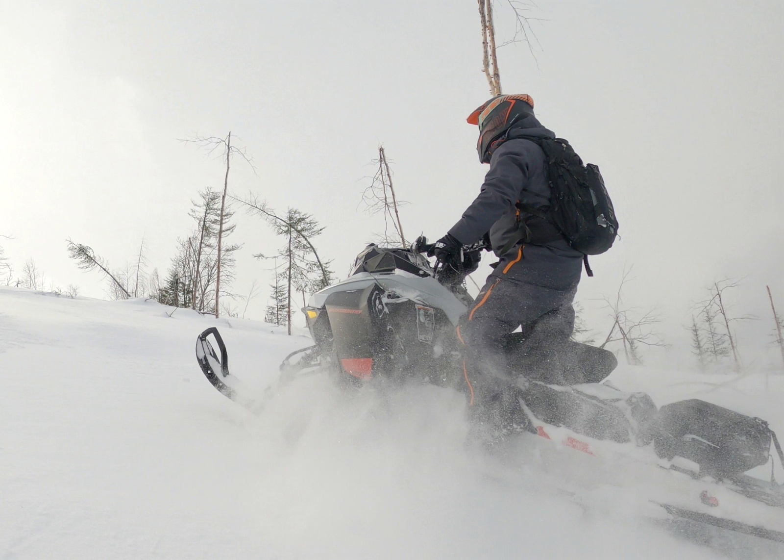 509 Allied isolated - SledMagazine.com