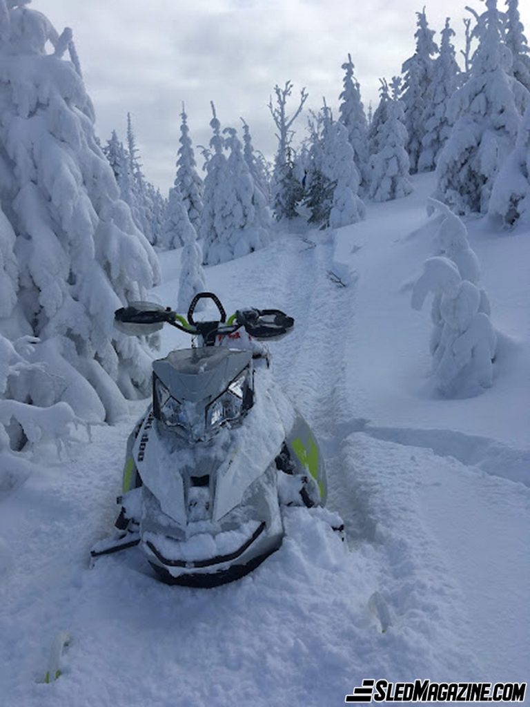 Ski-Doo Freeride - SledMagazine.com