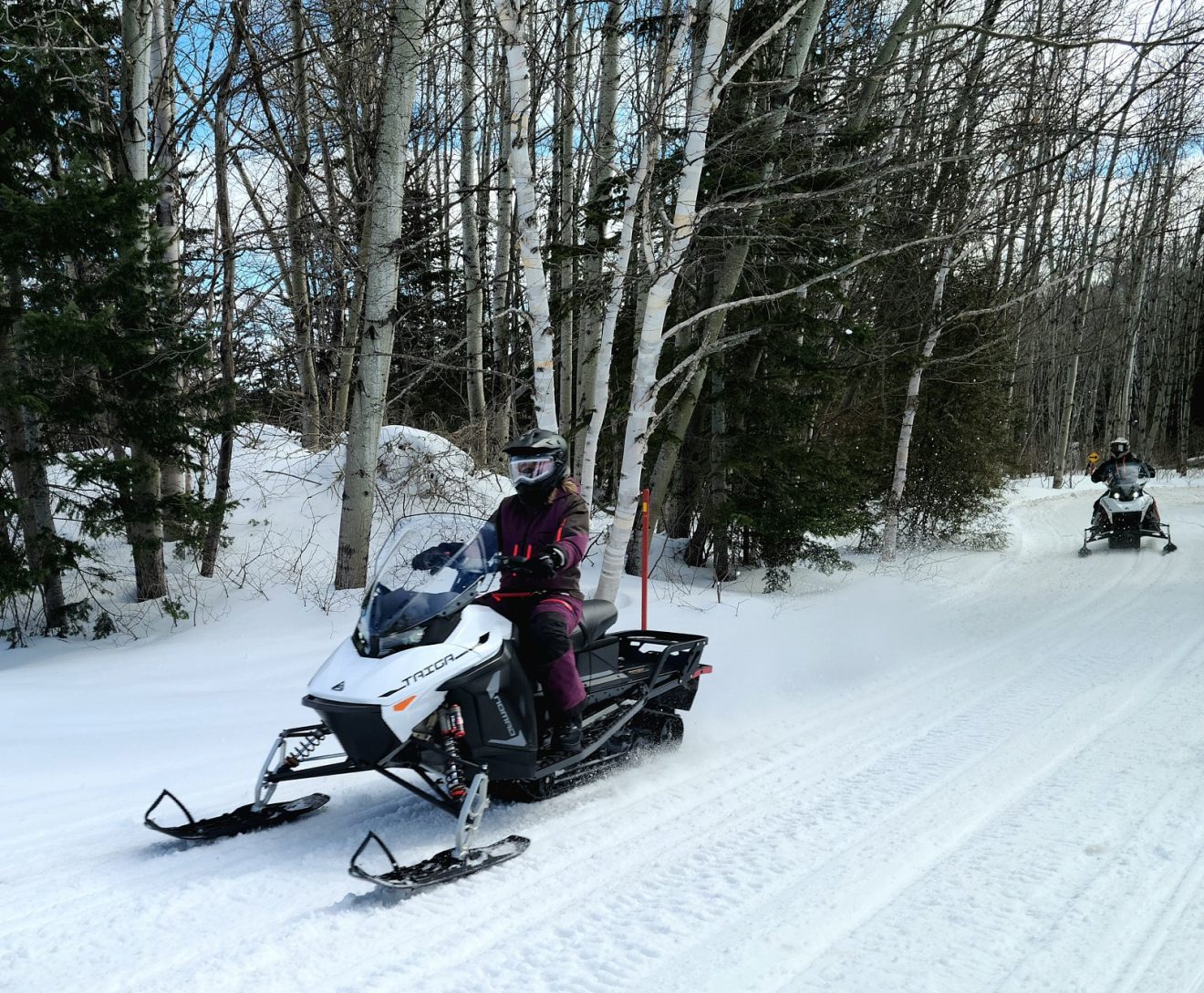 Takeover of Taiga Motors and the Future of Electric Snowmobiles ...