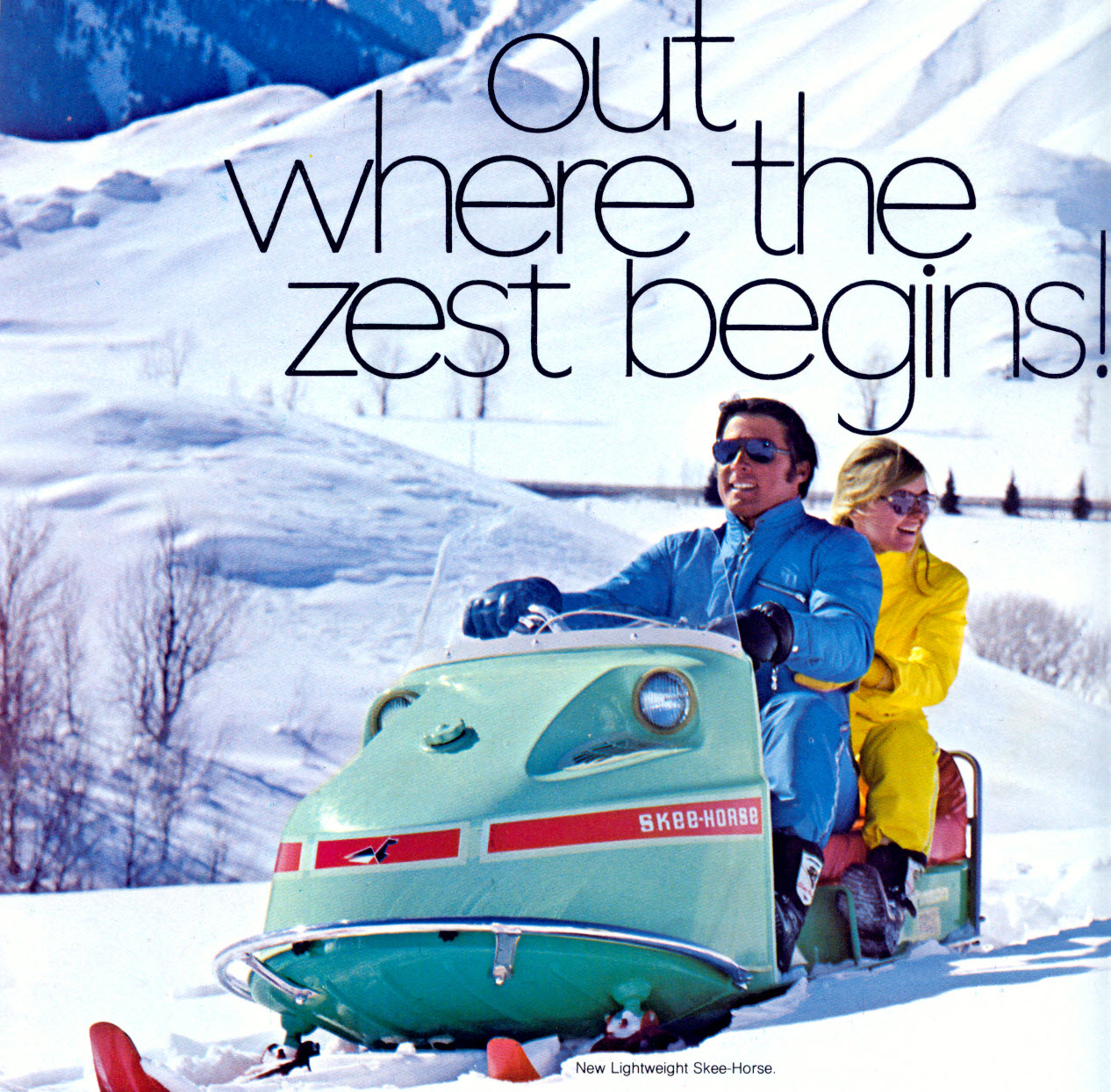 Former Snowmobile Manufacturers: OMC (Johnson & Evinrude ...